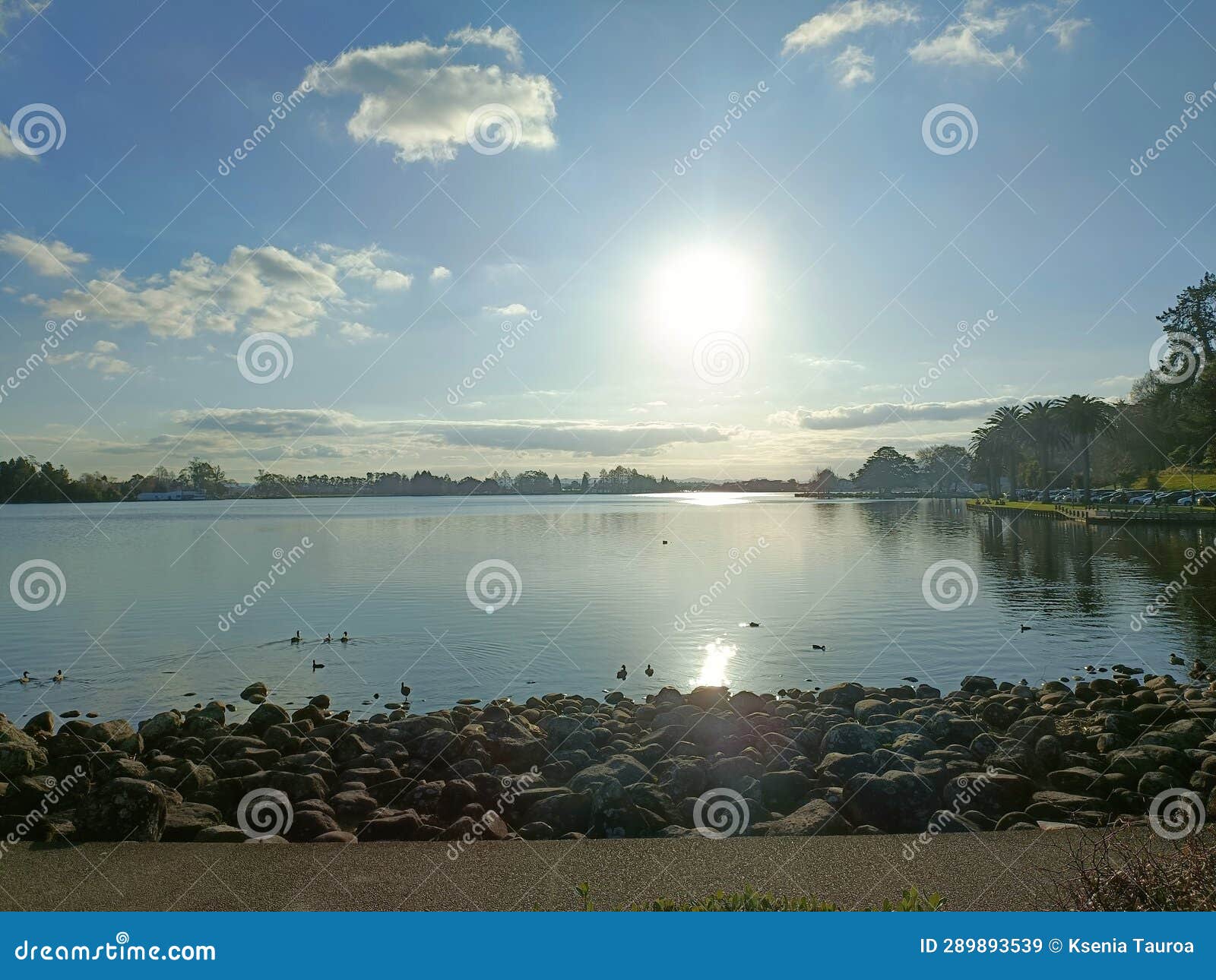 Hamilton Lake, Waikato in Late Afternoon Stock Image - Image of ...