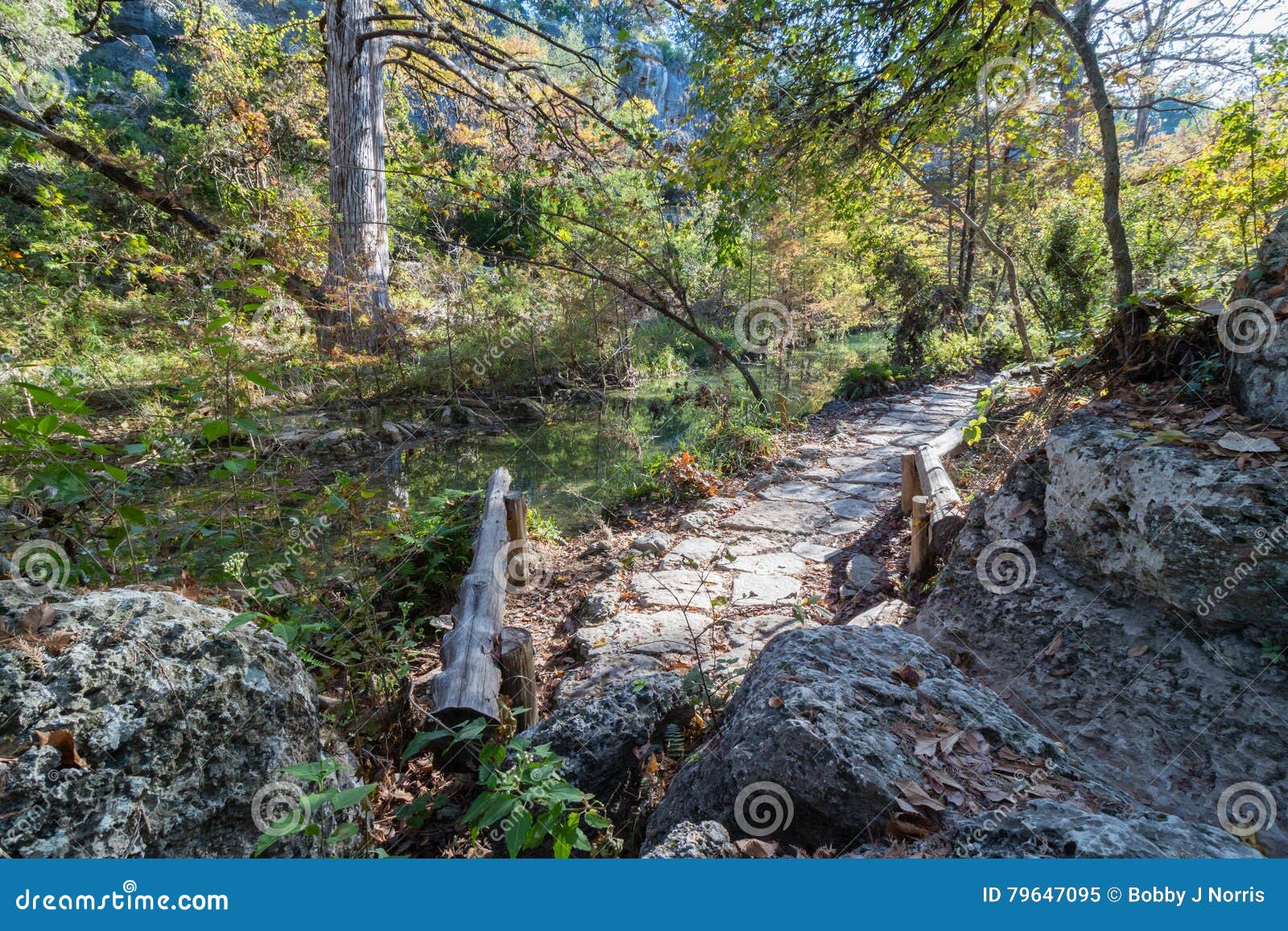 Hamilton Pool Trail To the Waterfall Stock Image - Image of pool ...