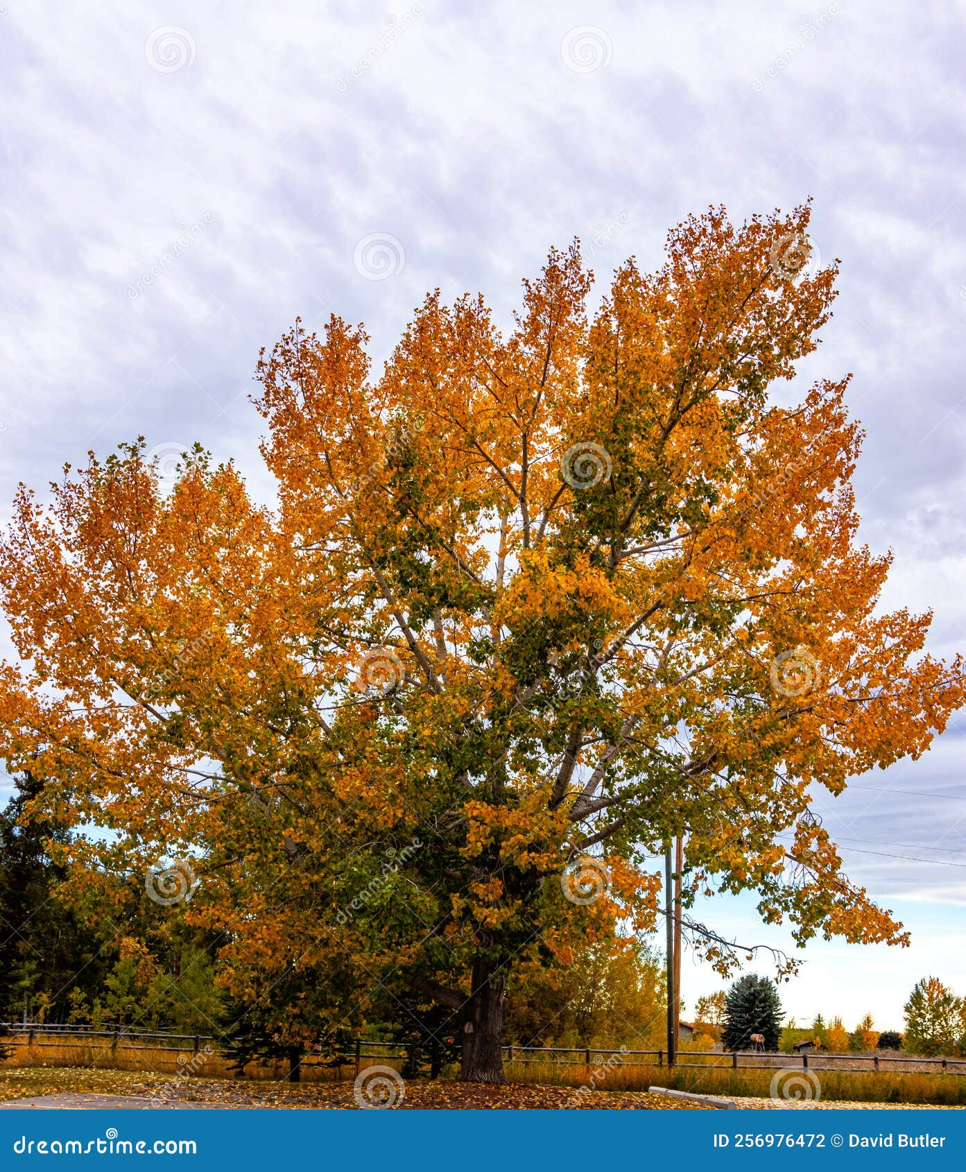 The Hamlet of De Winton in Foothills County Alberta Canada Stock Photo ...