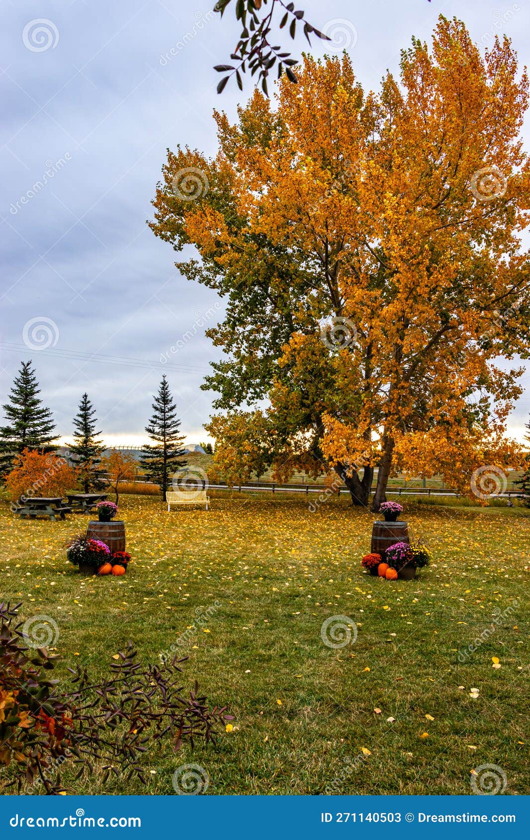 The Hamlet of De Winton in Foothills County Alberta Canada Stock Image ...