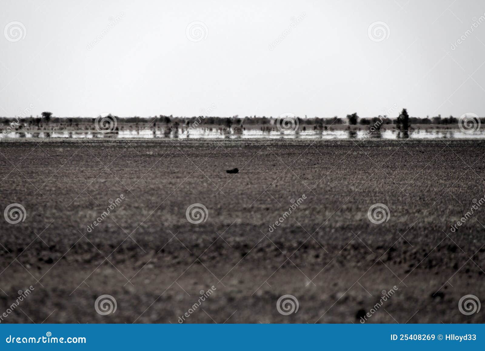 Hammada Desert Mirage stock image. Image of arid, sahara - 25408269