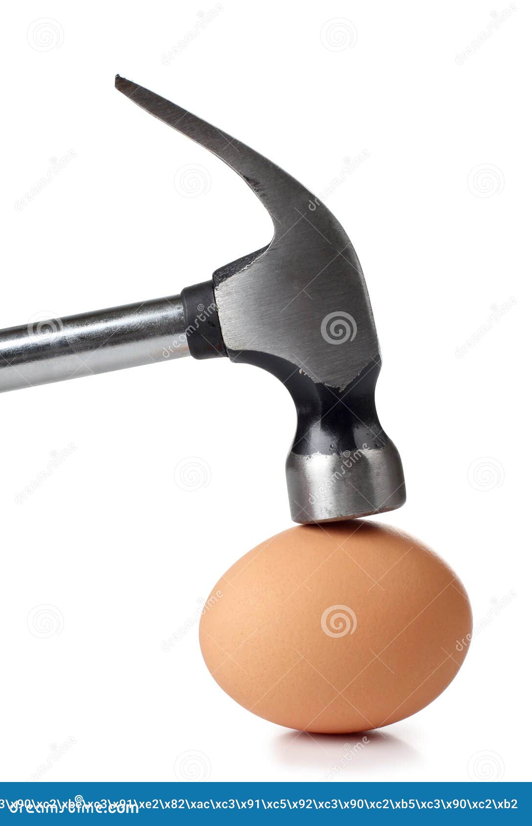 Hammer on egg stock photo. Image of easter, broken, life - 23306138
