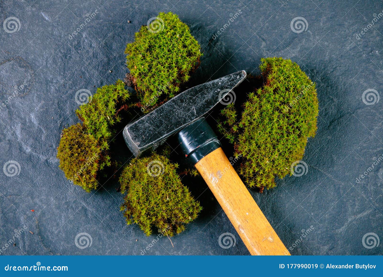Hammer in Green Moss on Granite Stock Image - Image of material, curve ...