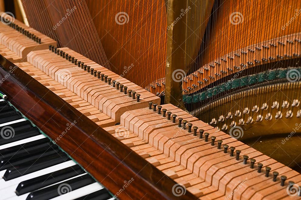 The Hammer Mechanics of the Piano. Hammers, Strings, Piano Keyboard ...