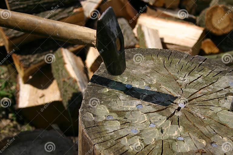 Hammer,nails,log stock image. Image of carpenter, chock - 870661
