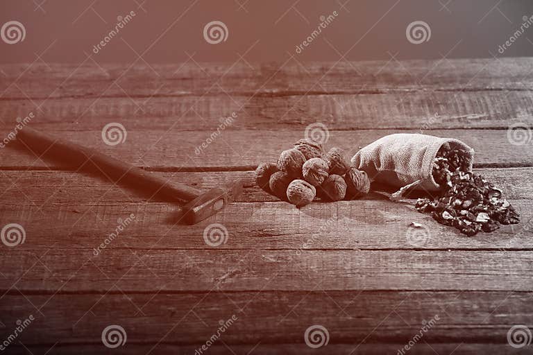 Hammer and nuts stock photo. Image of ingredient, natural - 74606938