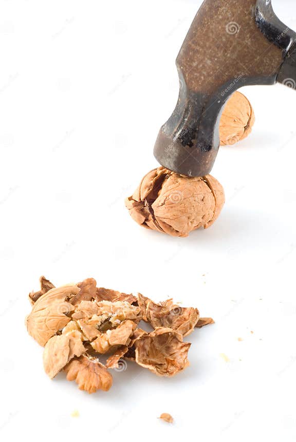 Hammer to crack nuts II stock photo. Image of force, crack - 4977178