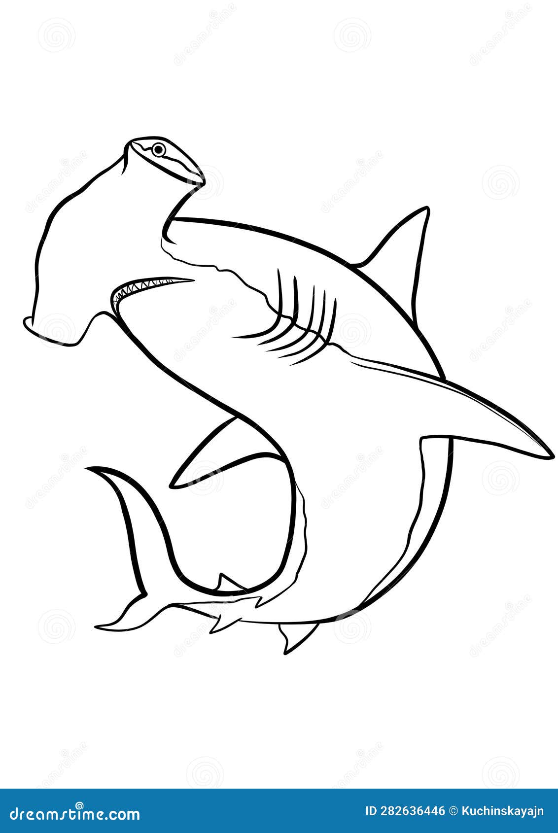 Hammerhead Fish, Line Illustration Stock Photo - Illustration of line ...