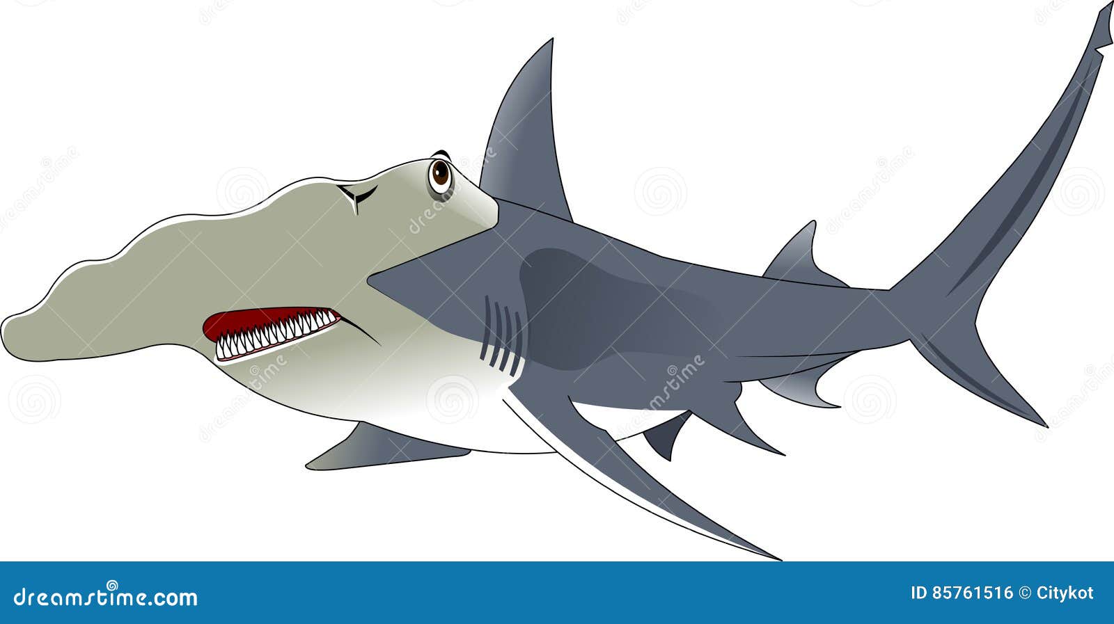 Hammerhead stock illustration. Illustration of predator - 85761516