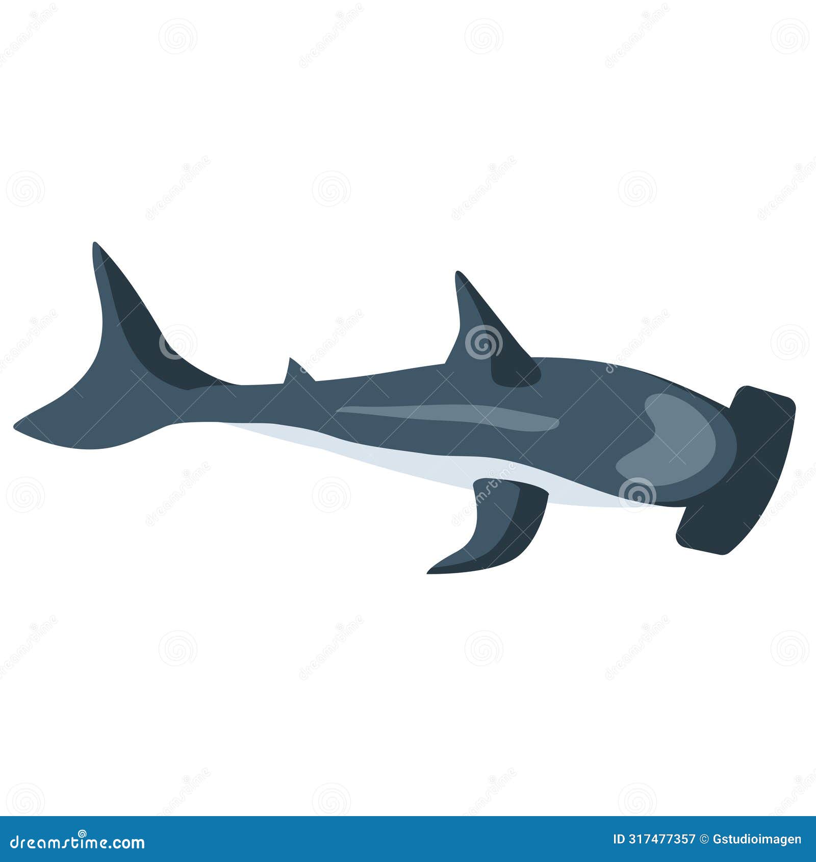 Hammerhead shark animal stock vector. Illustration of wildlife - 317477357