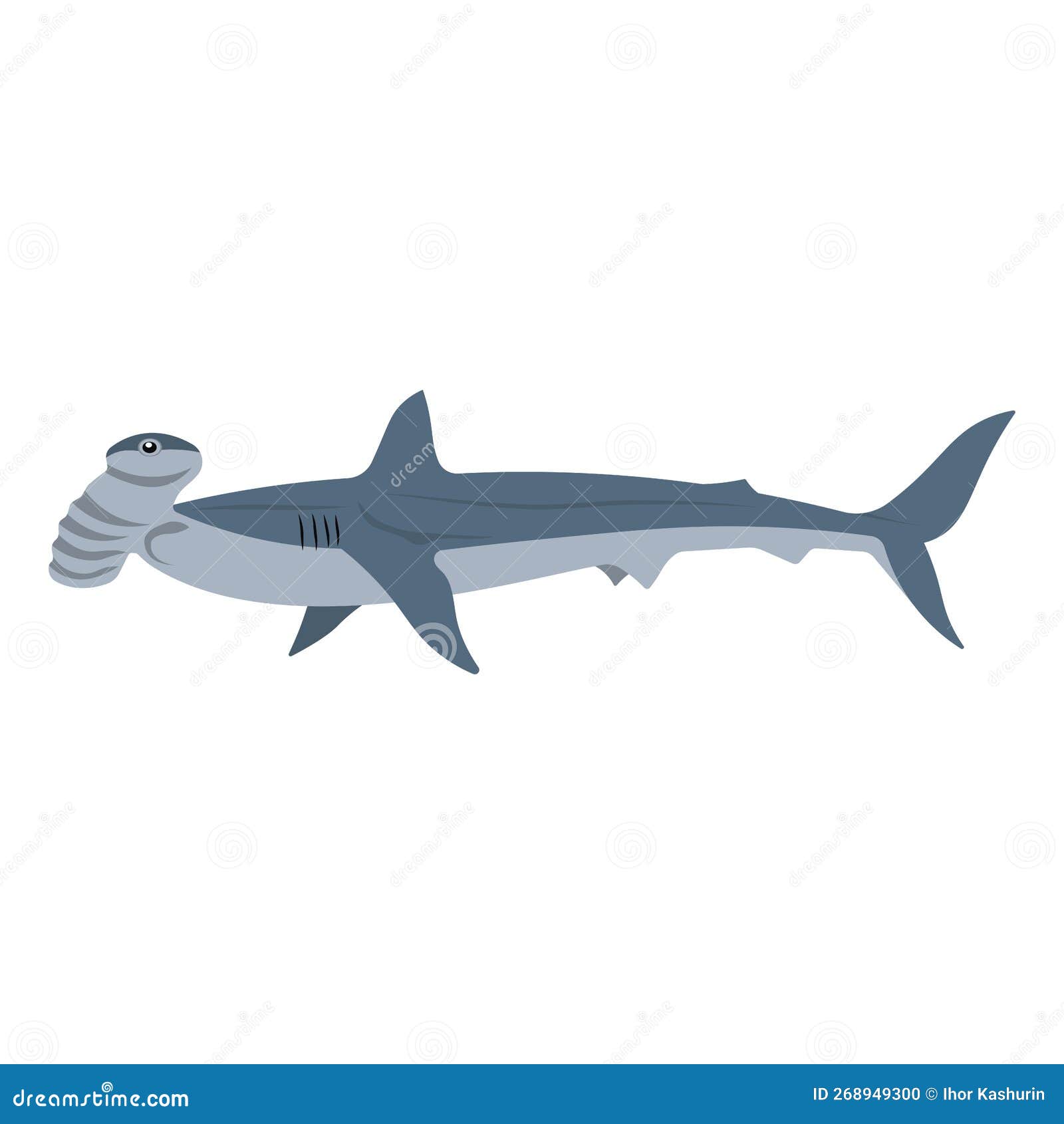 Hammerhead Shark Cartoon Sea Predator. Stock Vector - Illustration of ...
