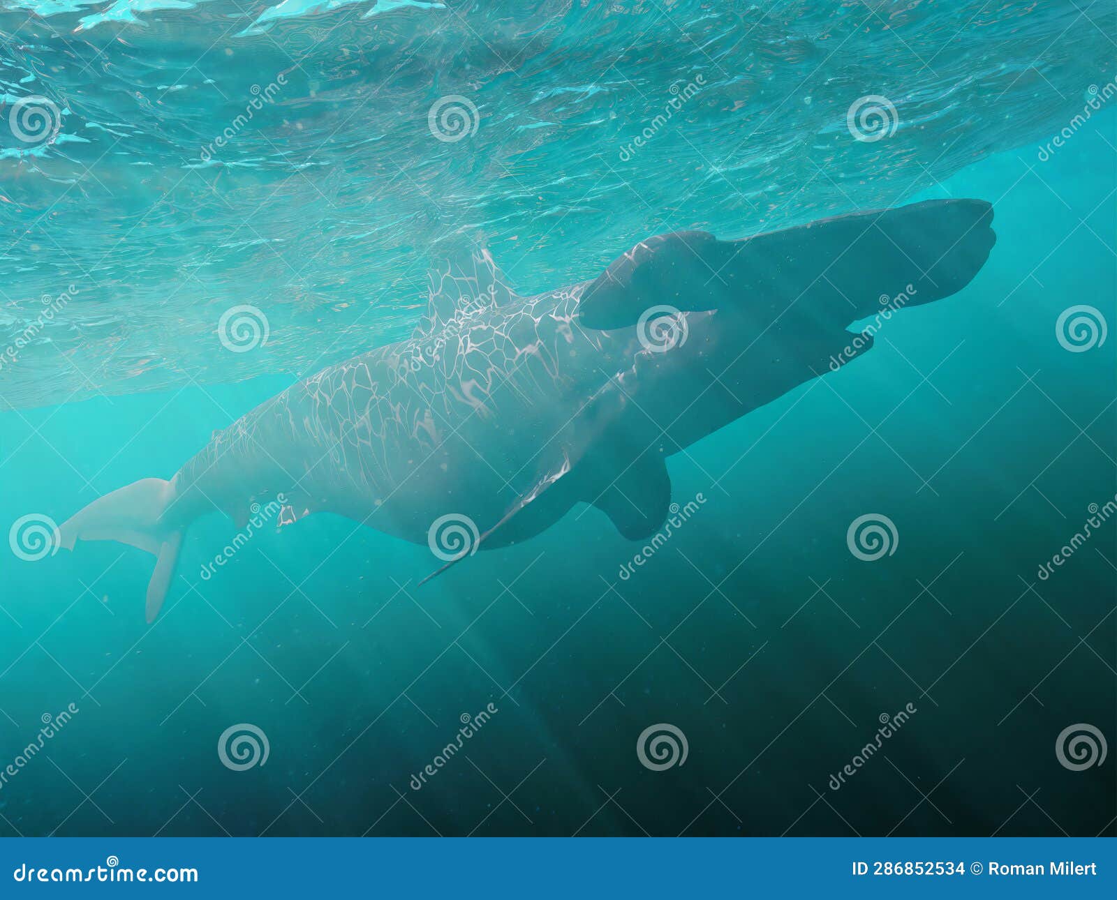 Deep Underwater Ocean Valley. Underwater Life Of Cenote Royalty-Free ...