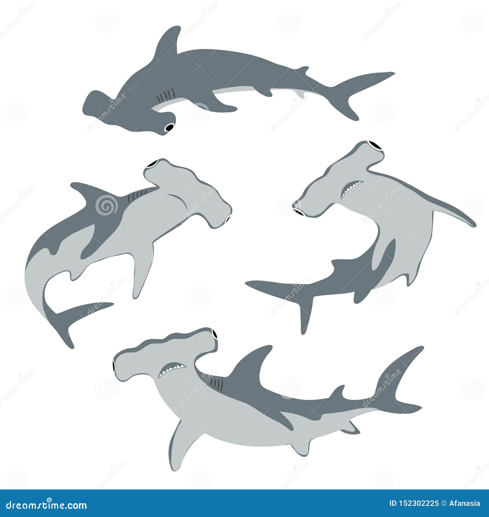 Hammerhead Shark Set. Vector Illustration Stock Vector - Illustration ...