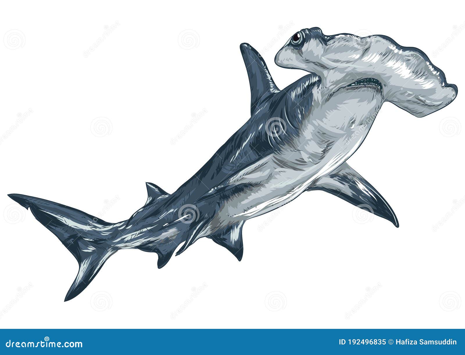 Hammerhead Shark. Vector Illustration Decorative Design Stock Vector ...