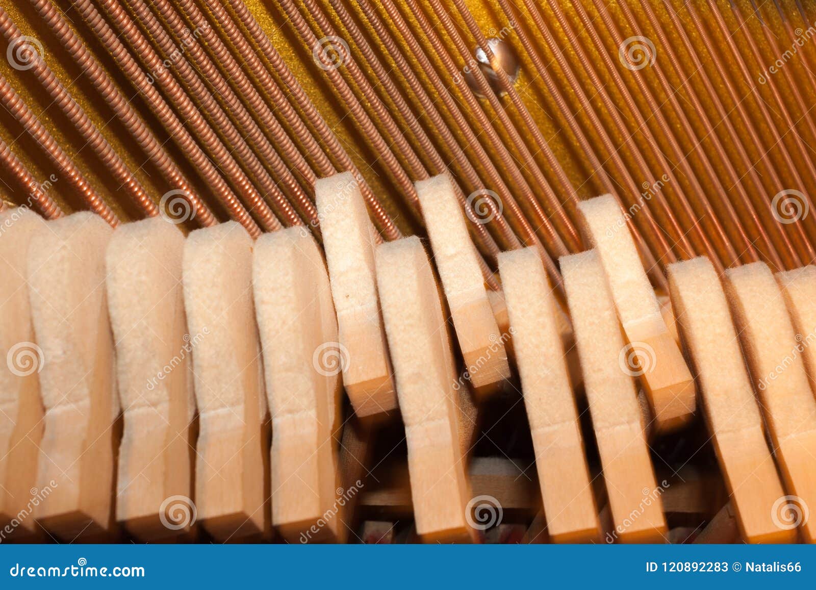 Hammers and Strings Inside Piano. Part of Internal Mechanism. Stock ...