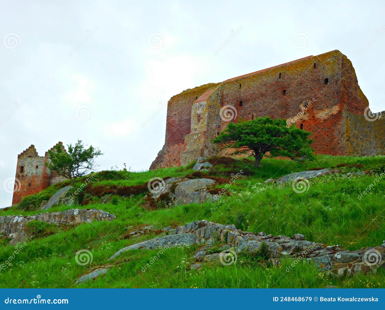 Ruins of Hammershus Castle, Bornholm, Denmark Stock Image - Image of ...