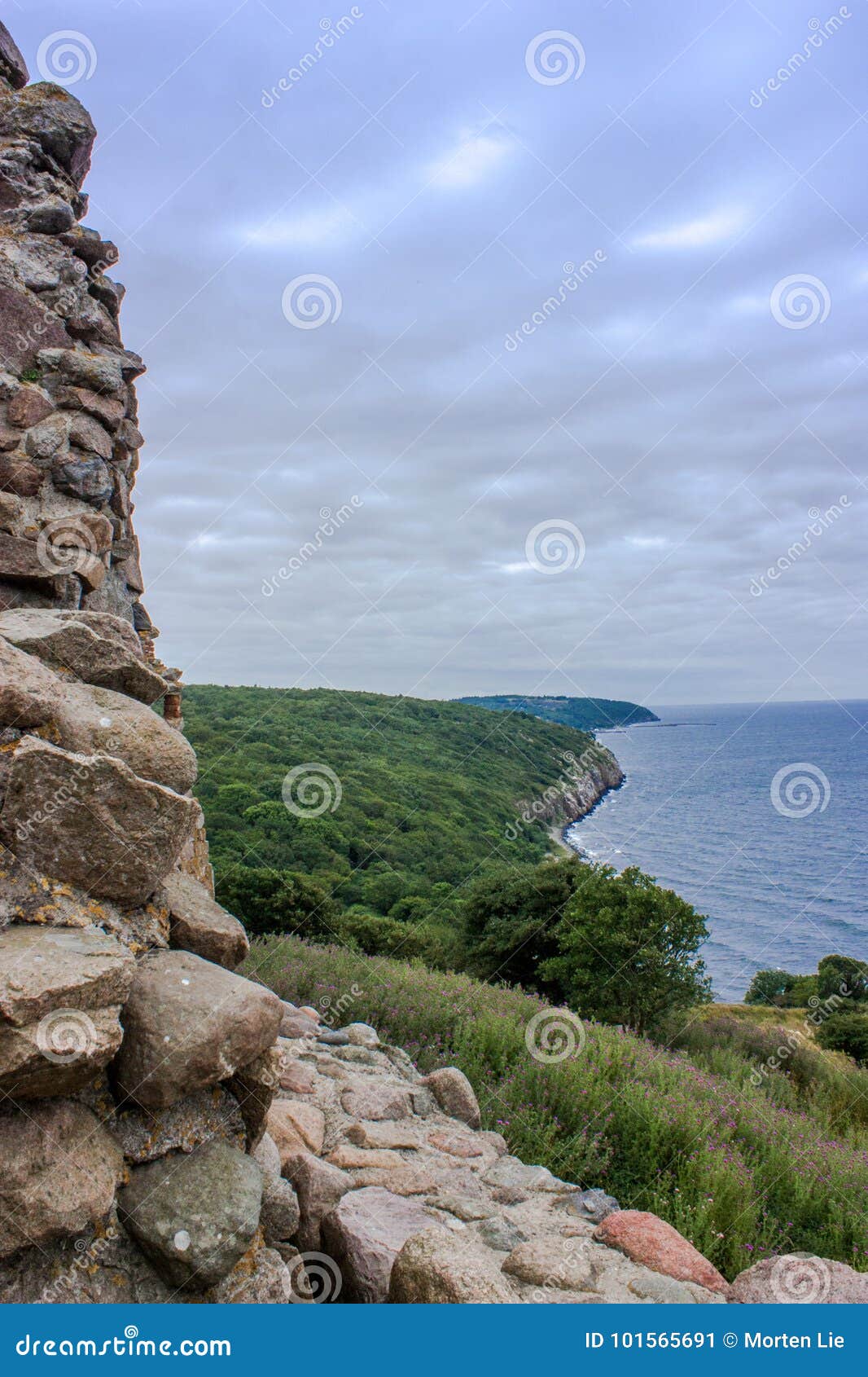 Hammershus stock image. Image of castle, daytime, skytree - 101565691