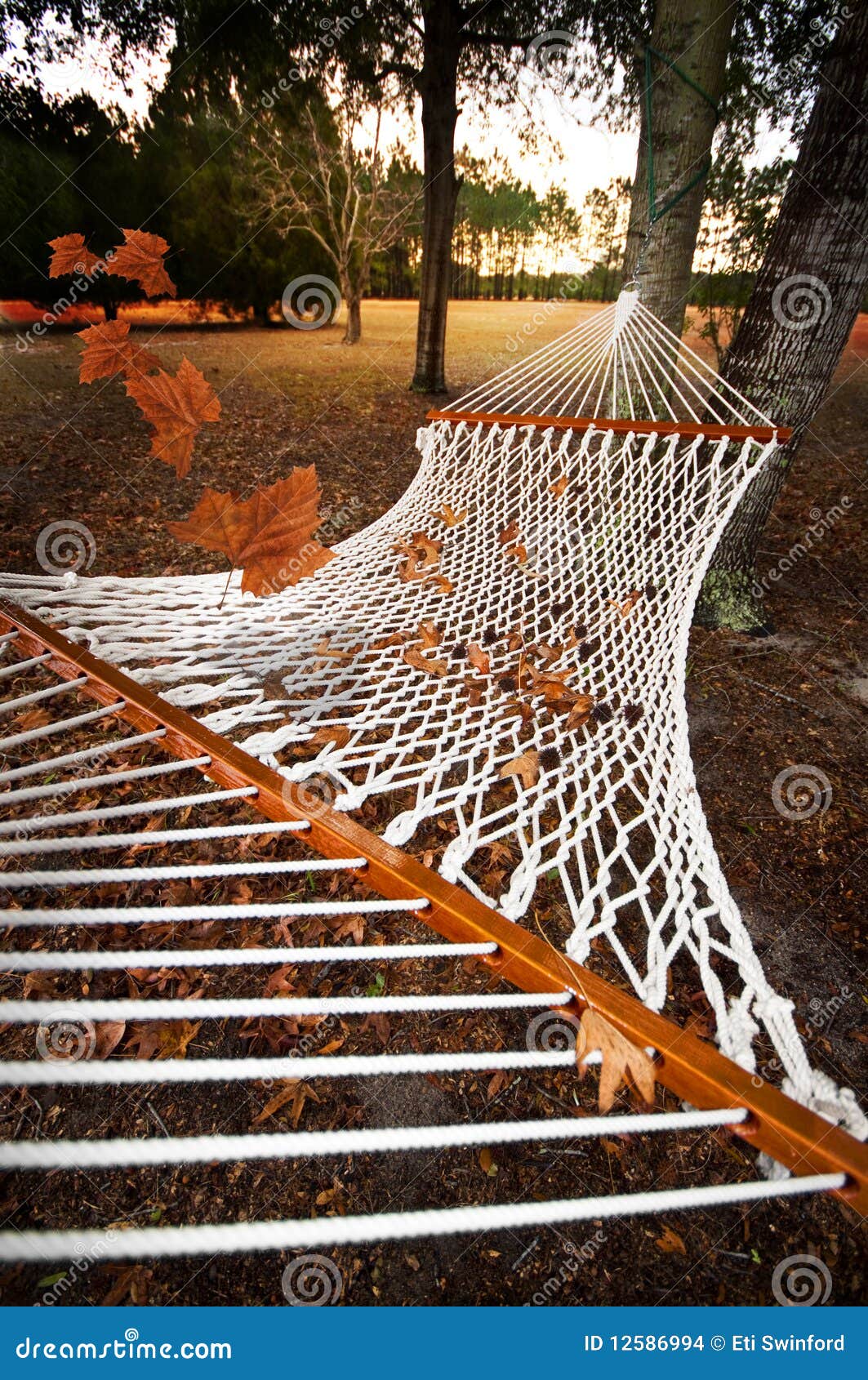 Hammock stock photo. Image of tranquility, serene, concept - 12586994