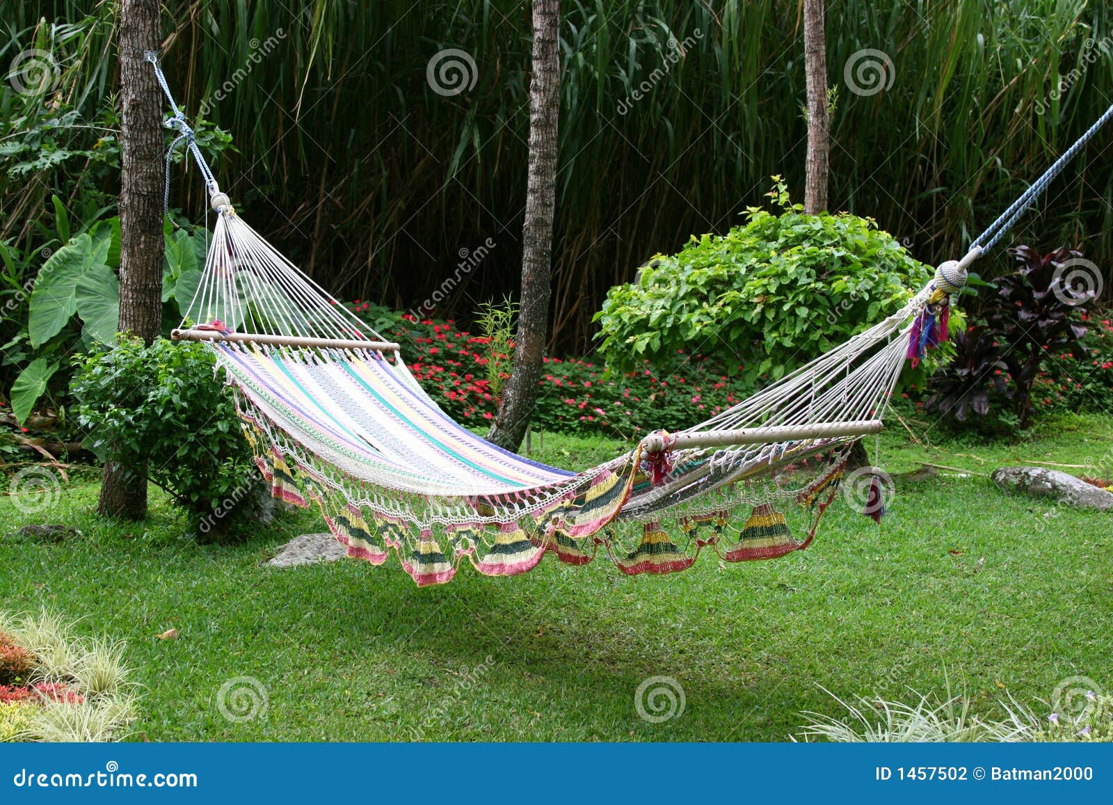 Hammock stock photo. Image of garden, rest, colourful - 1457502
