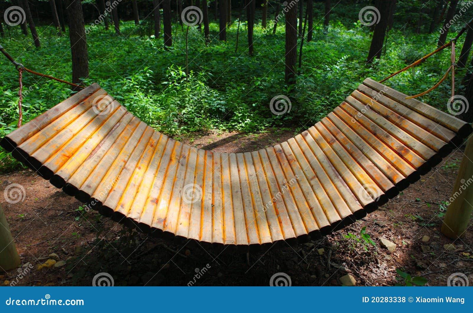 Hammock stock photo. Image of green, grass, lifestyle - 20283338