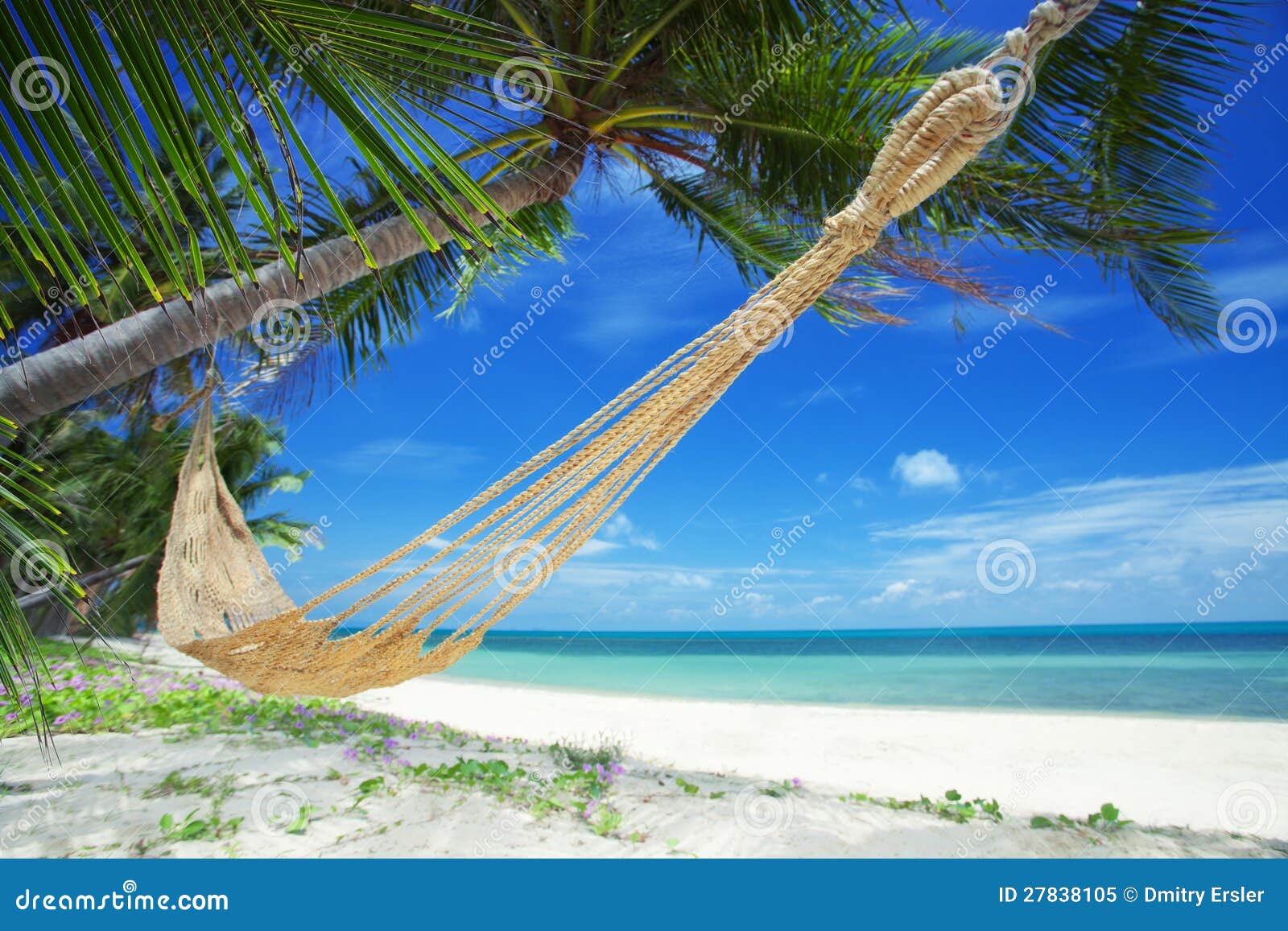 Hammock stock image. Image of nature, idyllic, rest, ocean - 27838105