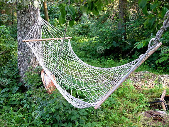 Hammock stock photo. Image of rural, hammock, rope, green - 32704