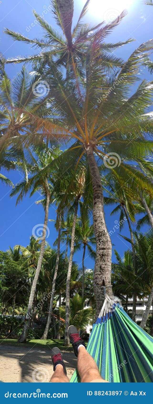 Oisr Stock Photos - Free & Royalty-Free Stock Photos from Dreamstime