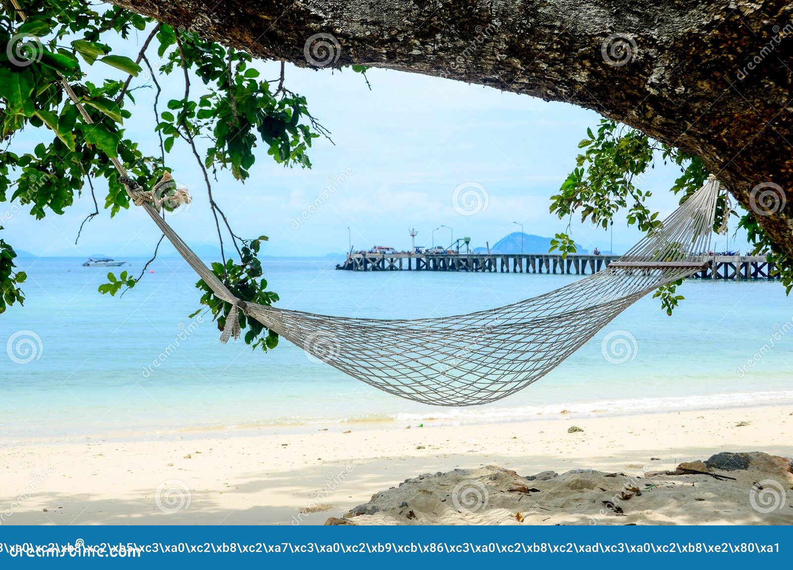 Relax in the Hammock on the Beach. Stock Photo - Image of ocean ...