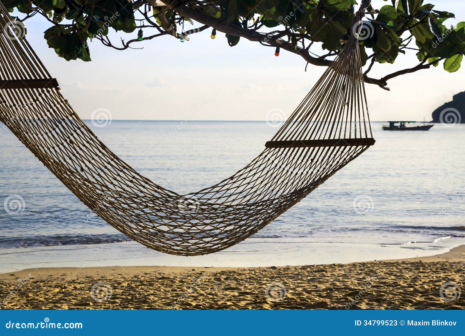 Hammock on beach ocean stock image. Image of coastline - 34799523