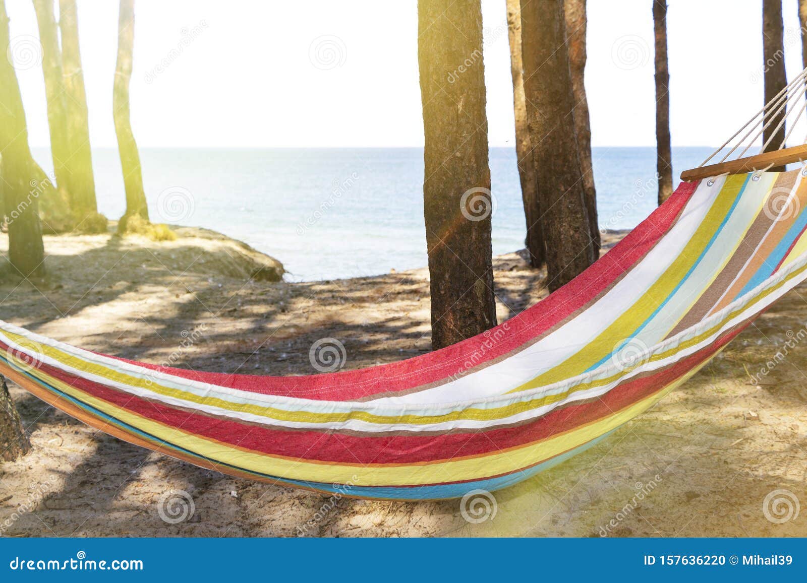 Hammock on the Beach at Sunset in the Shade between the Pines Stock ...