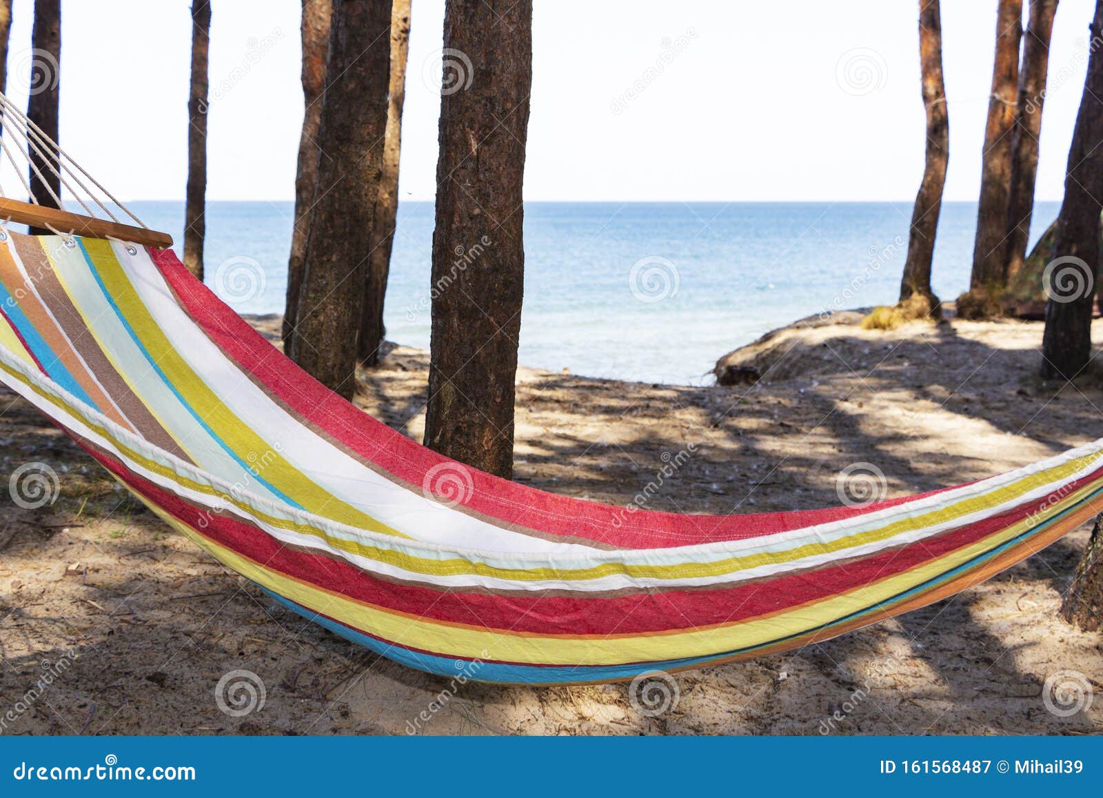 Hammock on the Beach at Sunset in the Shade between the Pines Stock ...