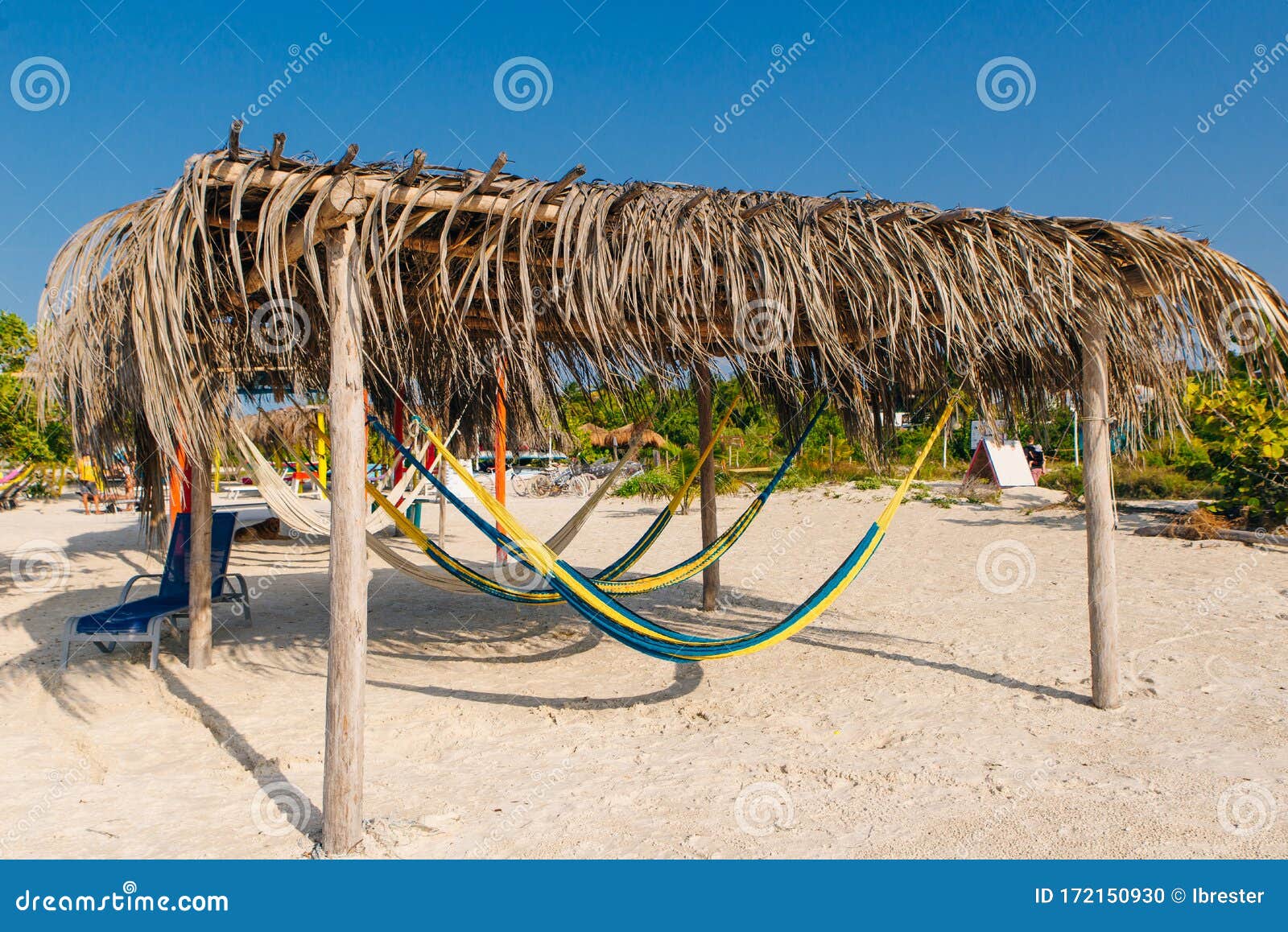 Hammock on the Beach Under a Canopy, Mexico Stock Photo - Image of ...