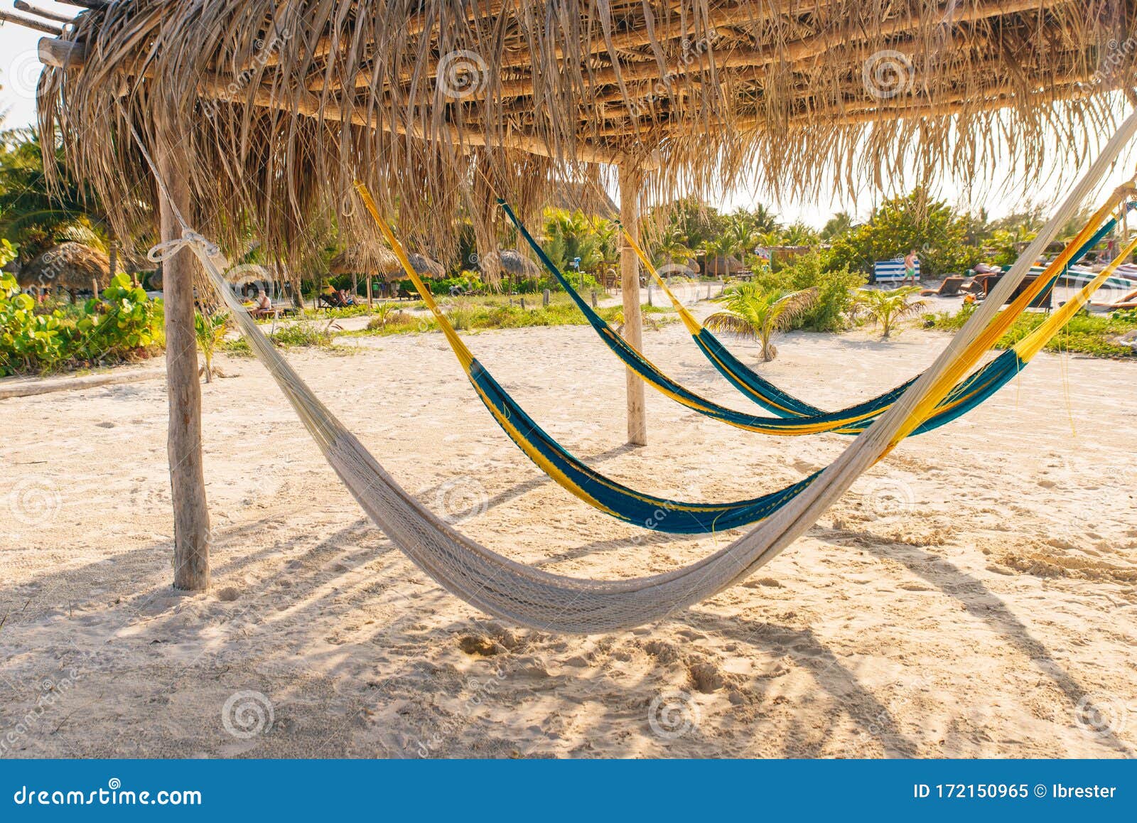 Hammock on the Beach Under a Canopy, Mexico Stock Image - Image of ...