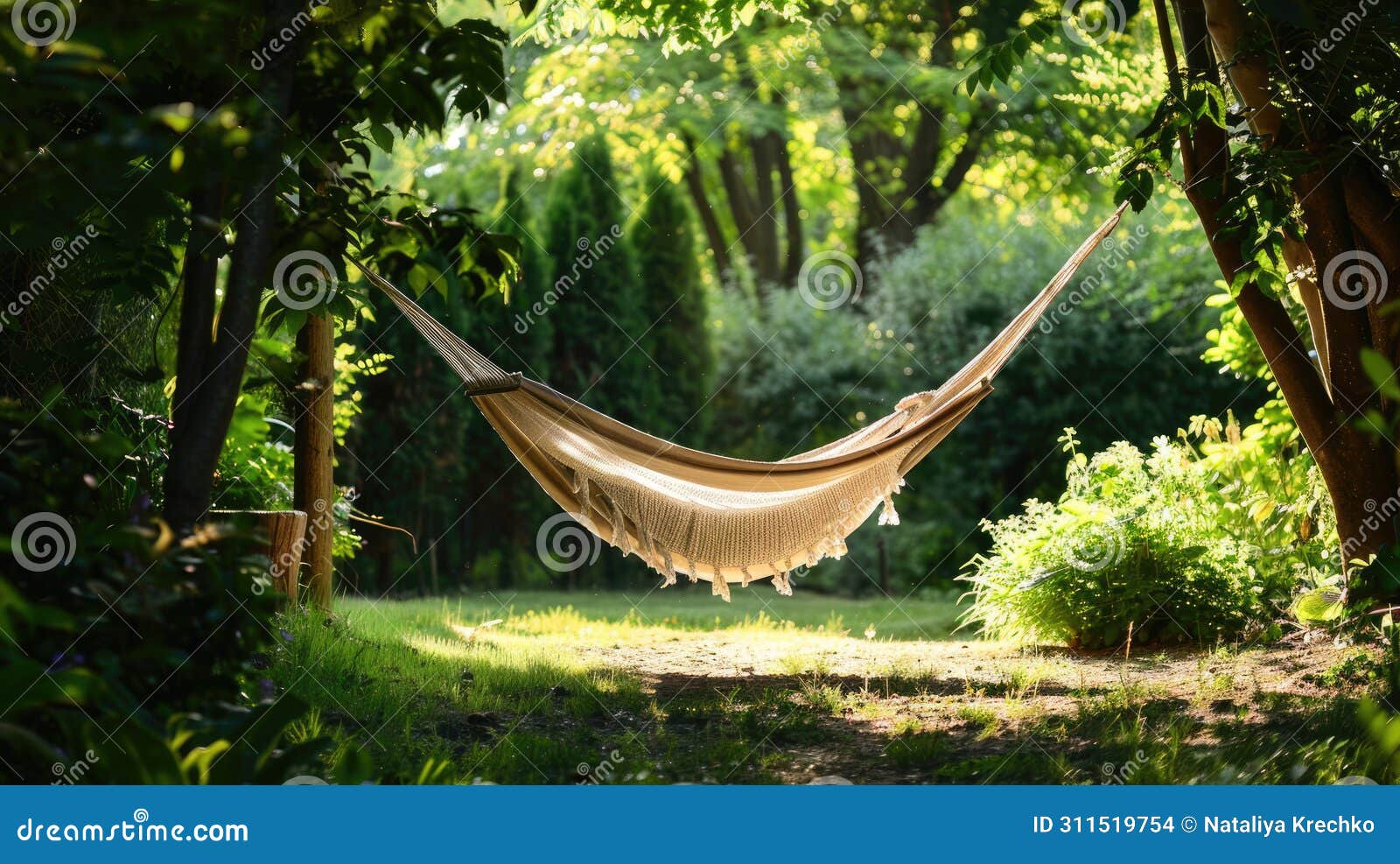Hammock for a Cozy Rest in the Shade of Trees Stock Photo - Image of ...
