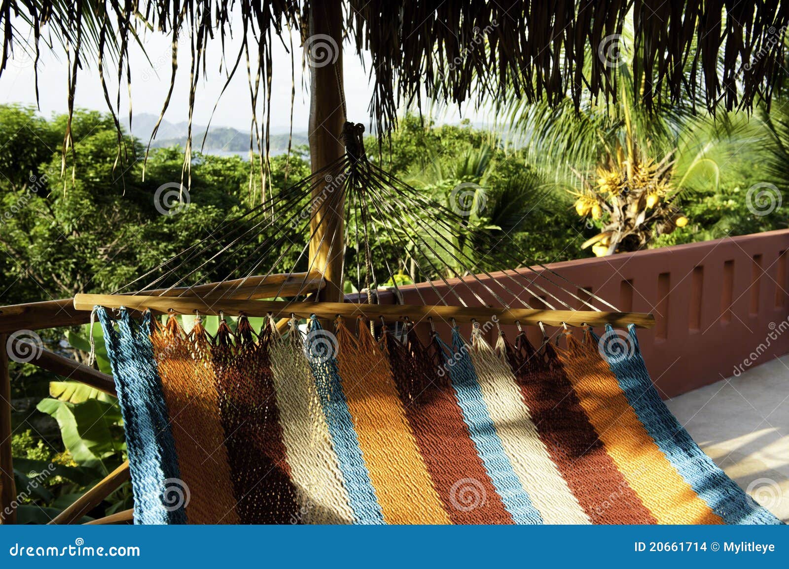 Hammock Eye View of Paradise Stock Photo - Image of holiday, trees ...