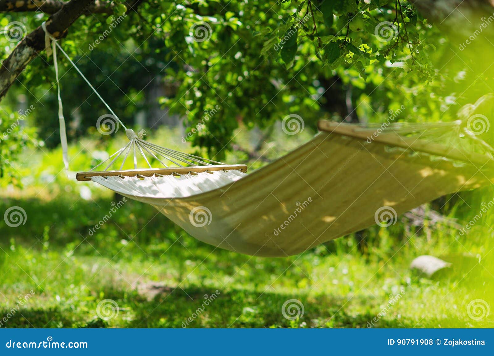 Hammock in the Garden Shade for Relaxation Stock Photo - Image of grass ...