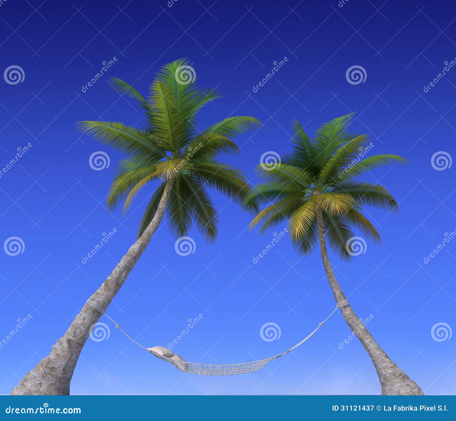 Hammock Hanging from Palm Trees Stock Image - Image of swing, caribbean ...