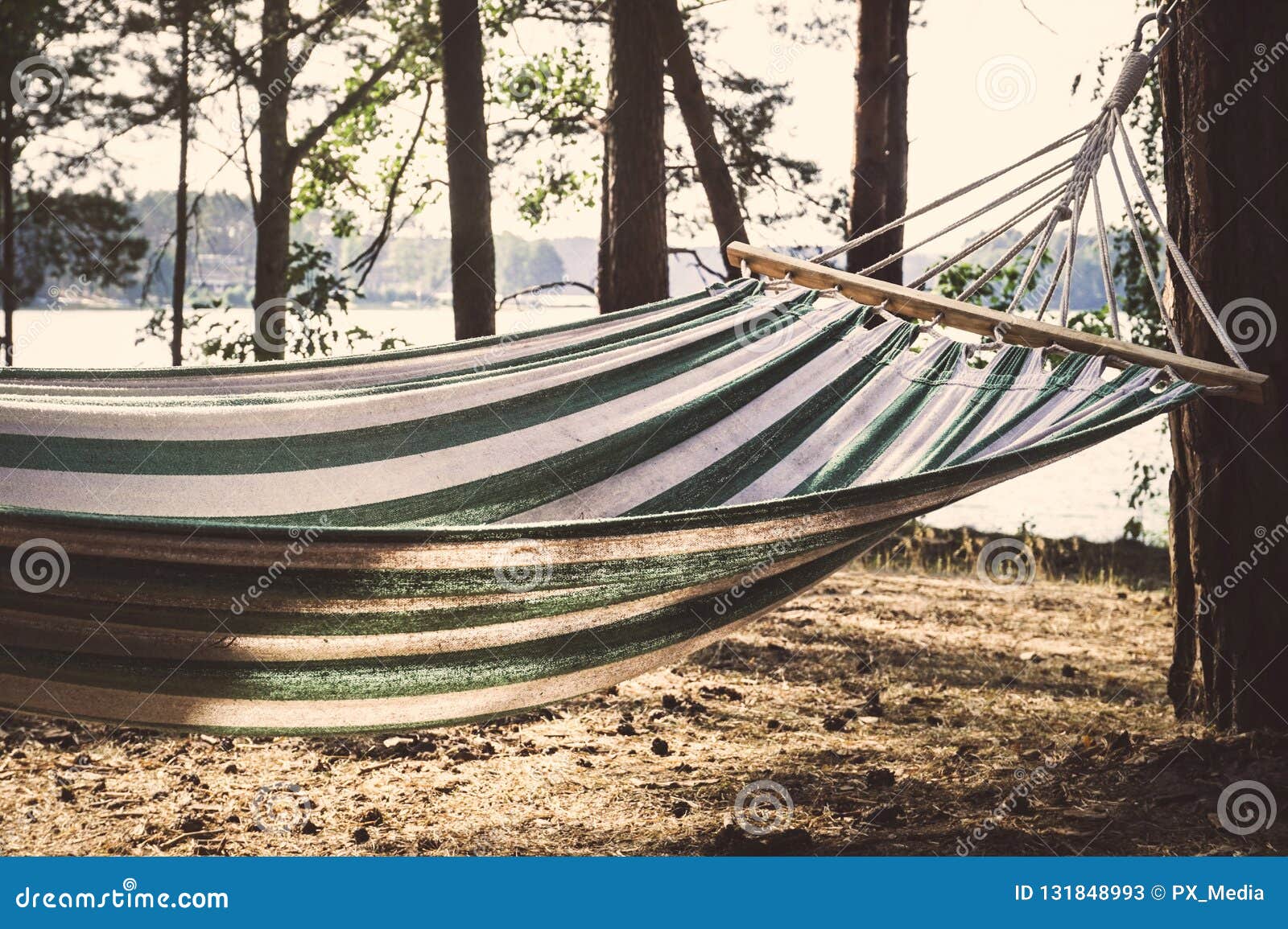 Hammock hanging on a tree stock image. Image of relaxation - 131848993