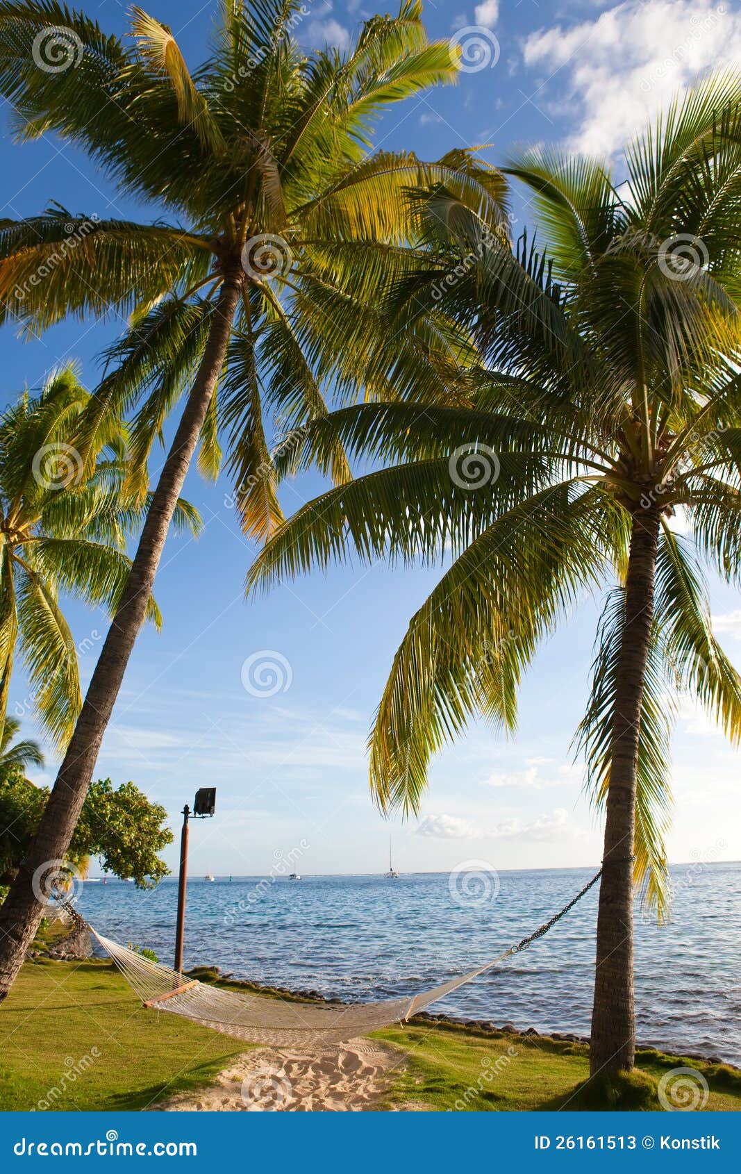 Hammock Between Palm Trees Stock Photos - Image: 26161513 Hammock Between Palm Trees Stock Photos - Image: 26161513