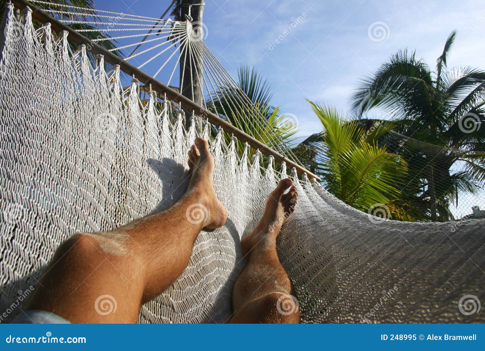 Hammock Relax stock image. Image of forest, tree, doze - 248995