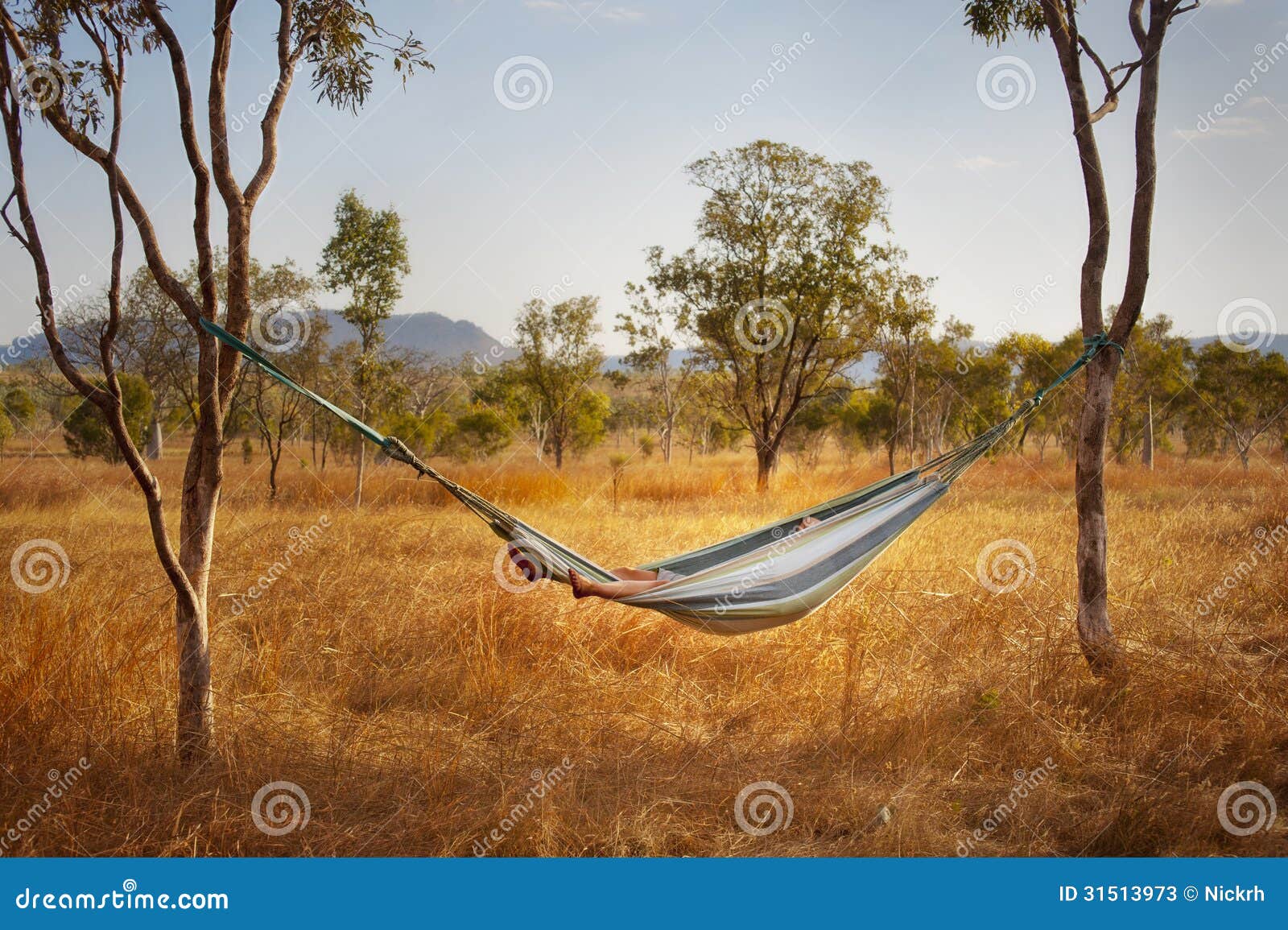 Hammock Relaxing stock image. Image of idyllic, relaxation - 31513973