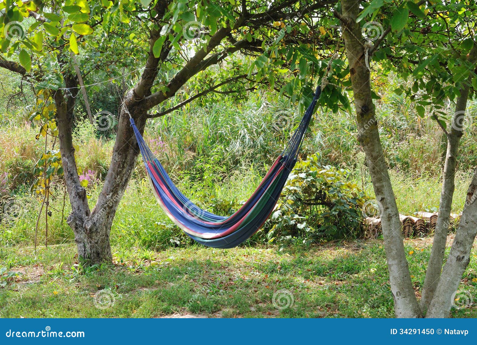 Hammock for relaxing. stock photo. Image of relaxation - 34291450