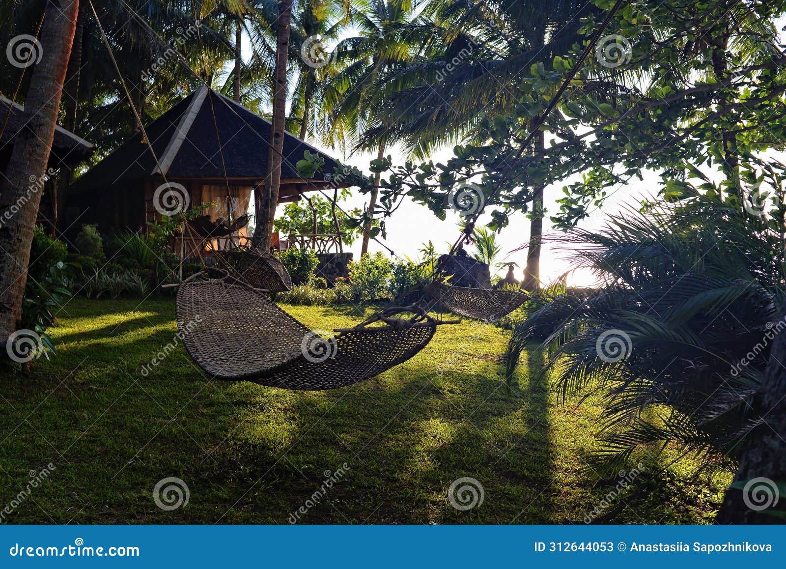 Hammock in the Shade of Palm Trees on a Philippine Island Kamiguin ...
