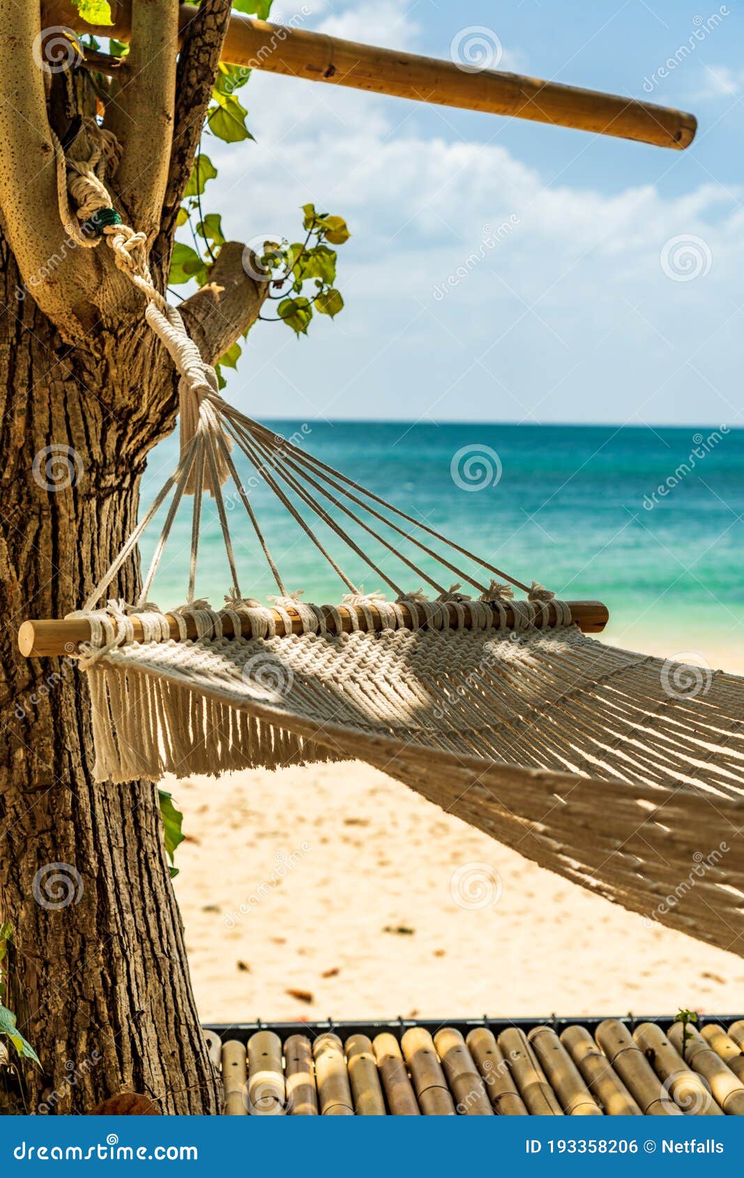 Hammock at the Tropical Beach Stock Photo - Image of rest, holiday ...