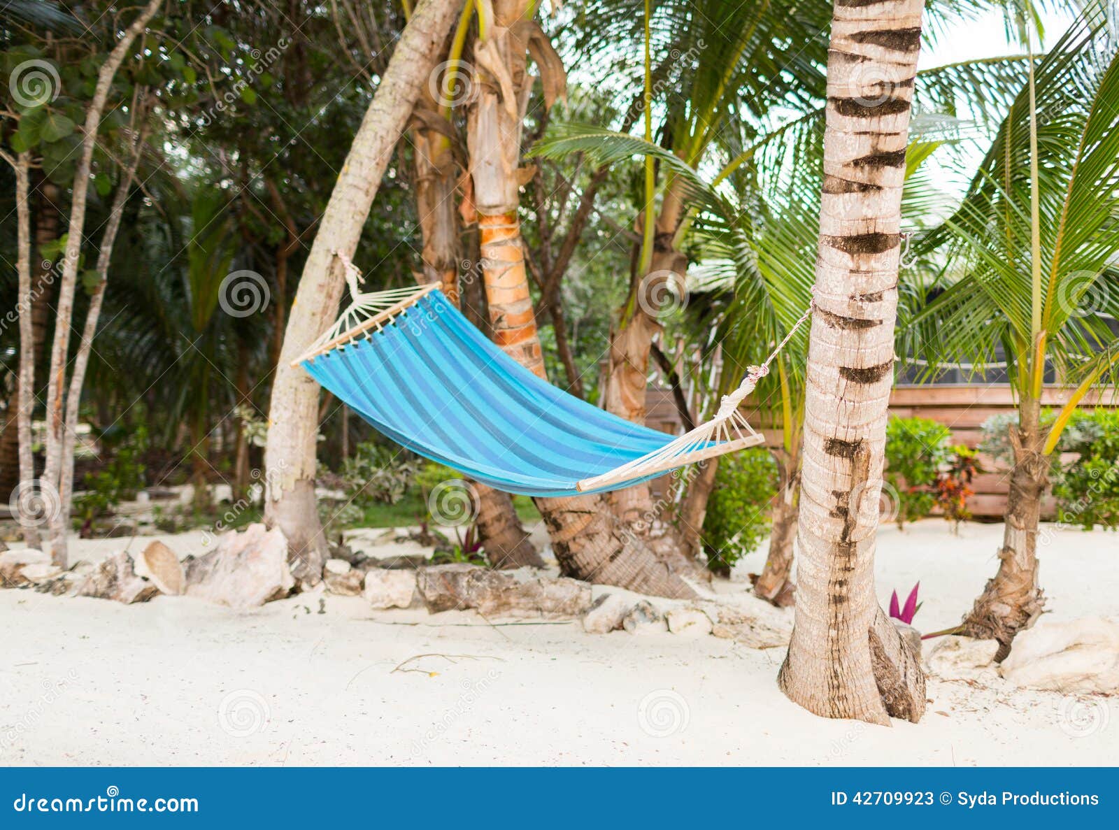 Hammock on tropical beach stock image. Image of calm - 42709923