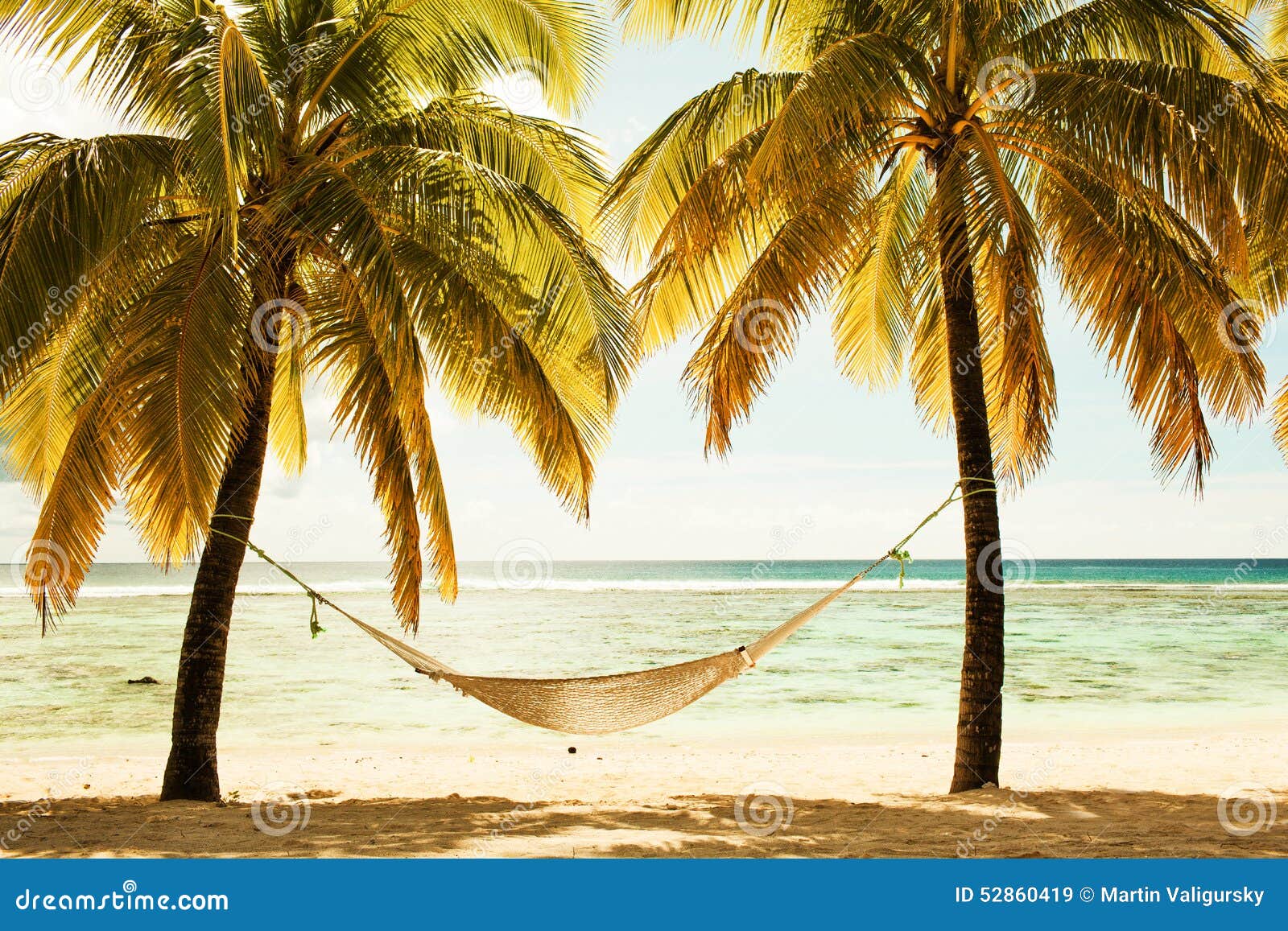 Hammock Between Two Palm Trees On The Beach During Sunset Cross Stock Image Image Of Tropical