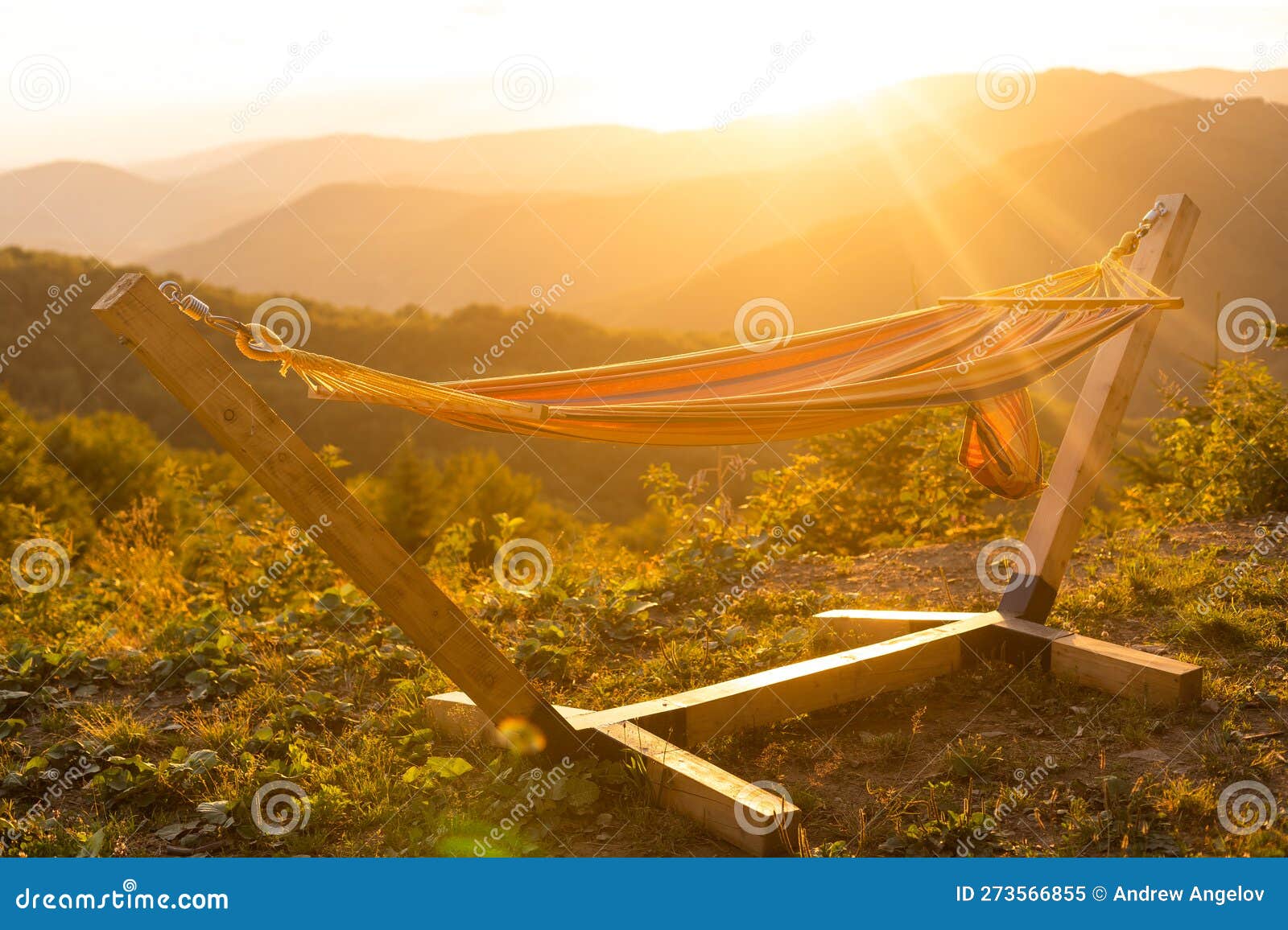 A Hammocks for Relaxing in the Morning in Beautiful Natural Stock Image ...