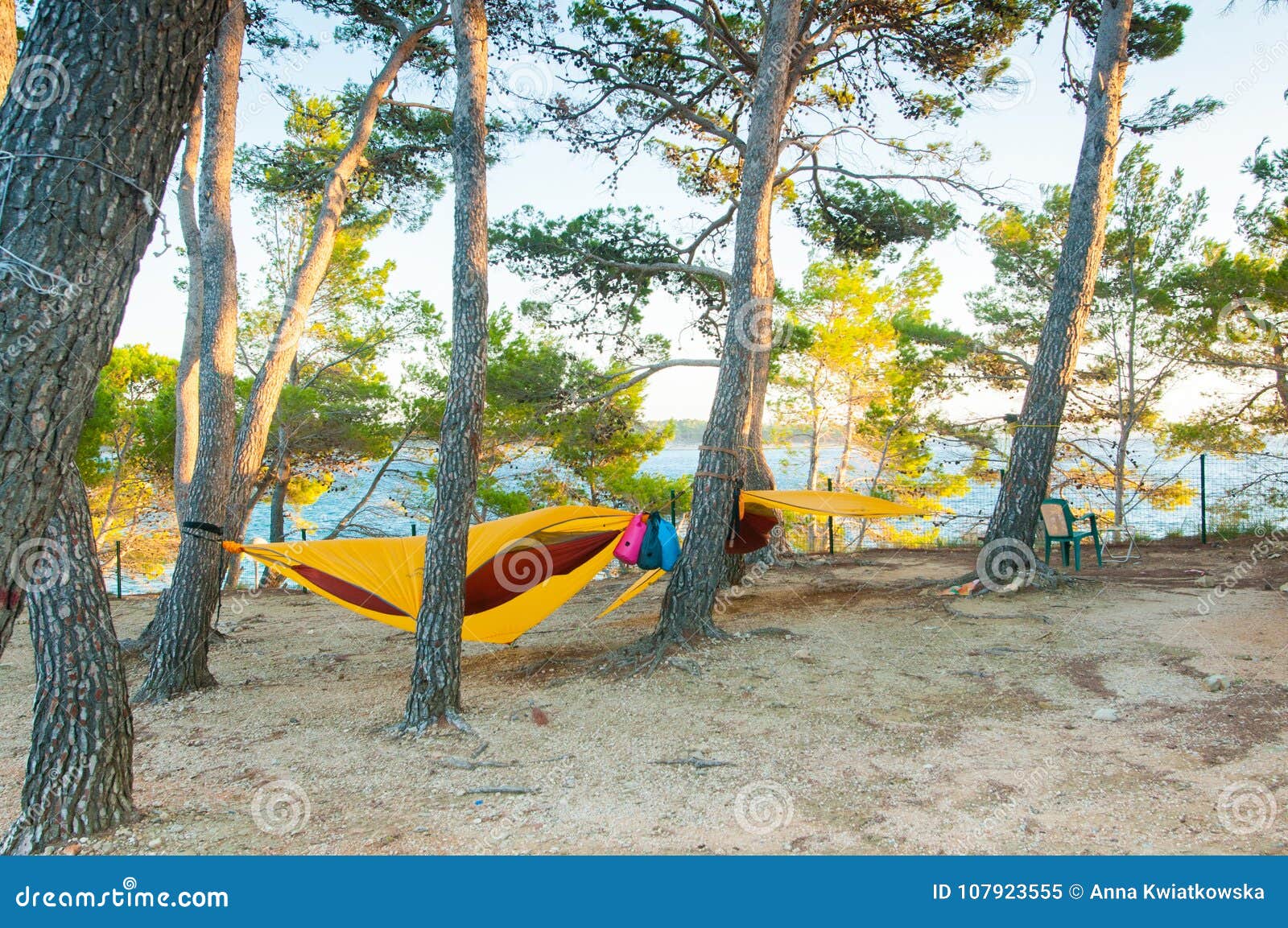 Hammocks Suspended on the Tree, Camping by the Lake Stock Image - Image ...