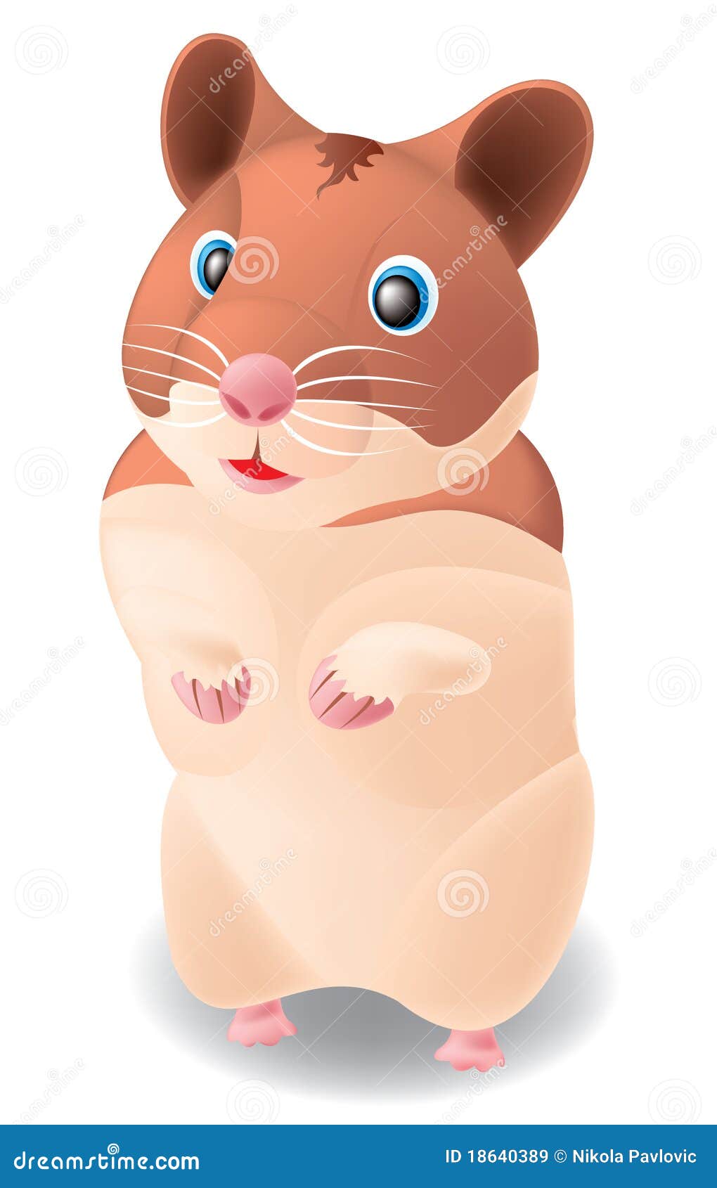 Hamster stock vector. Illustration of guinea, standing - 18640389