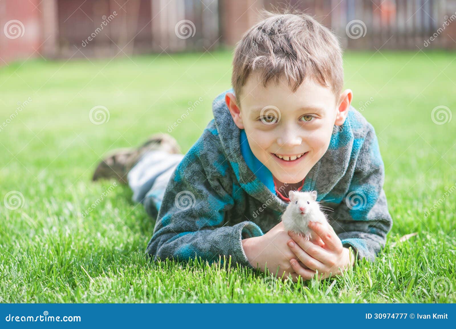 Hamster stock image. Image of animal, friend, fluffy - 30974777